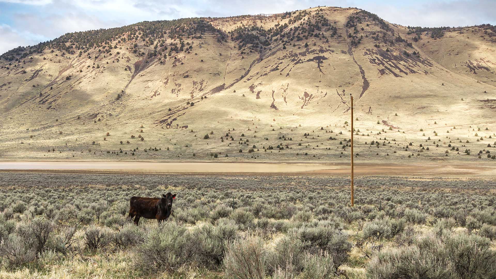 Oregon/Washington BLM Modernizes Range Monitoring with Digital Workflows