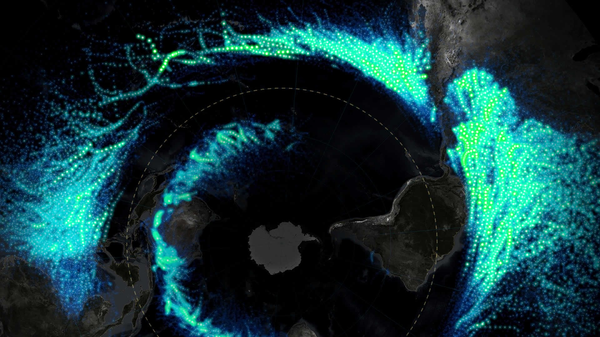 Steal This Firefly Style Please