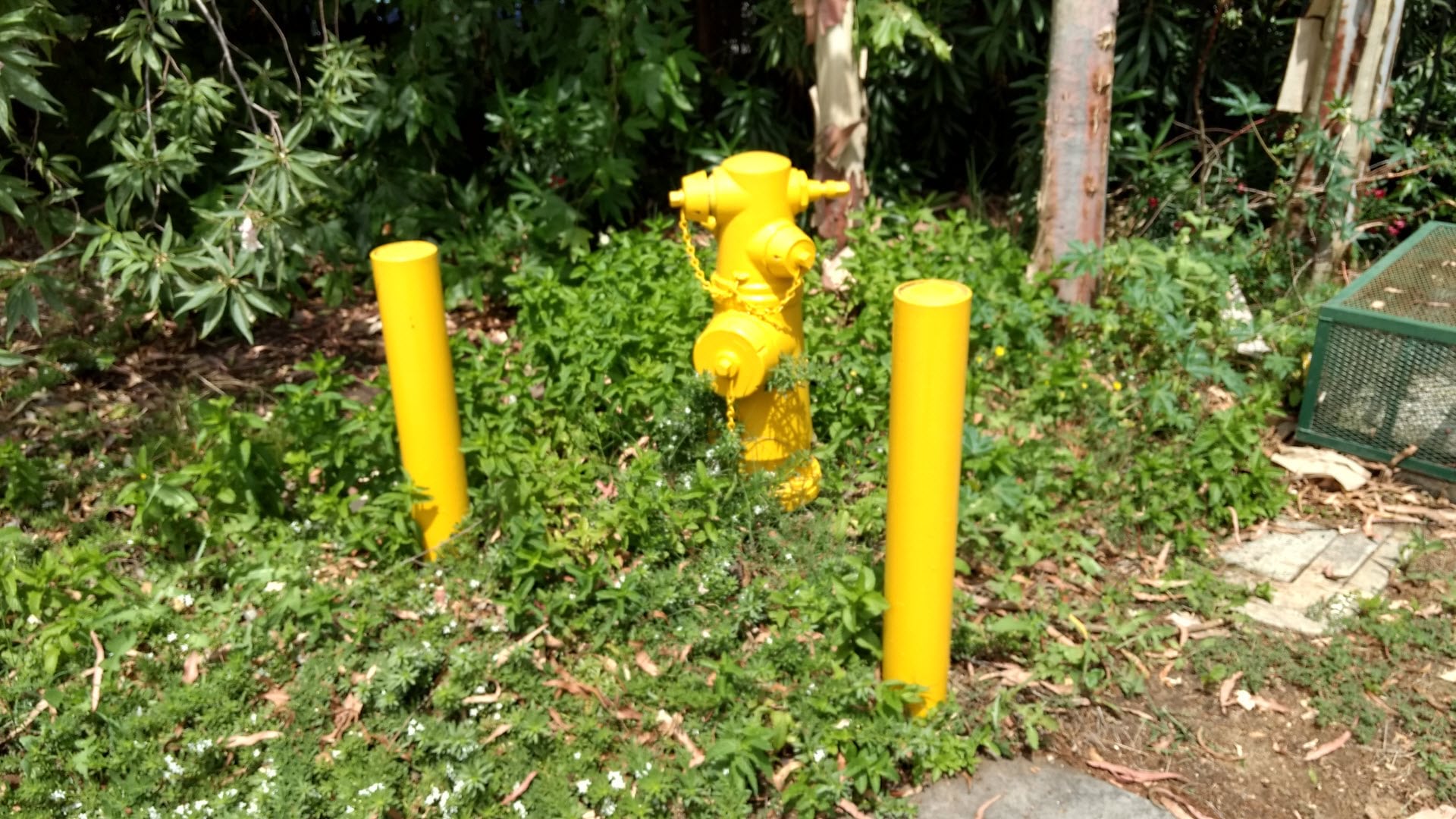 Control access to data in Collector through feature layer views