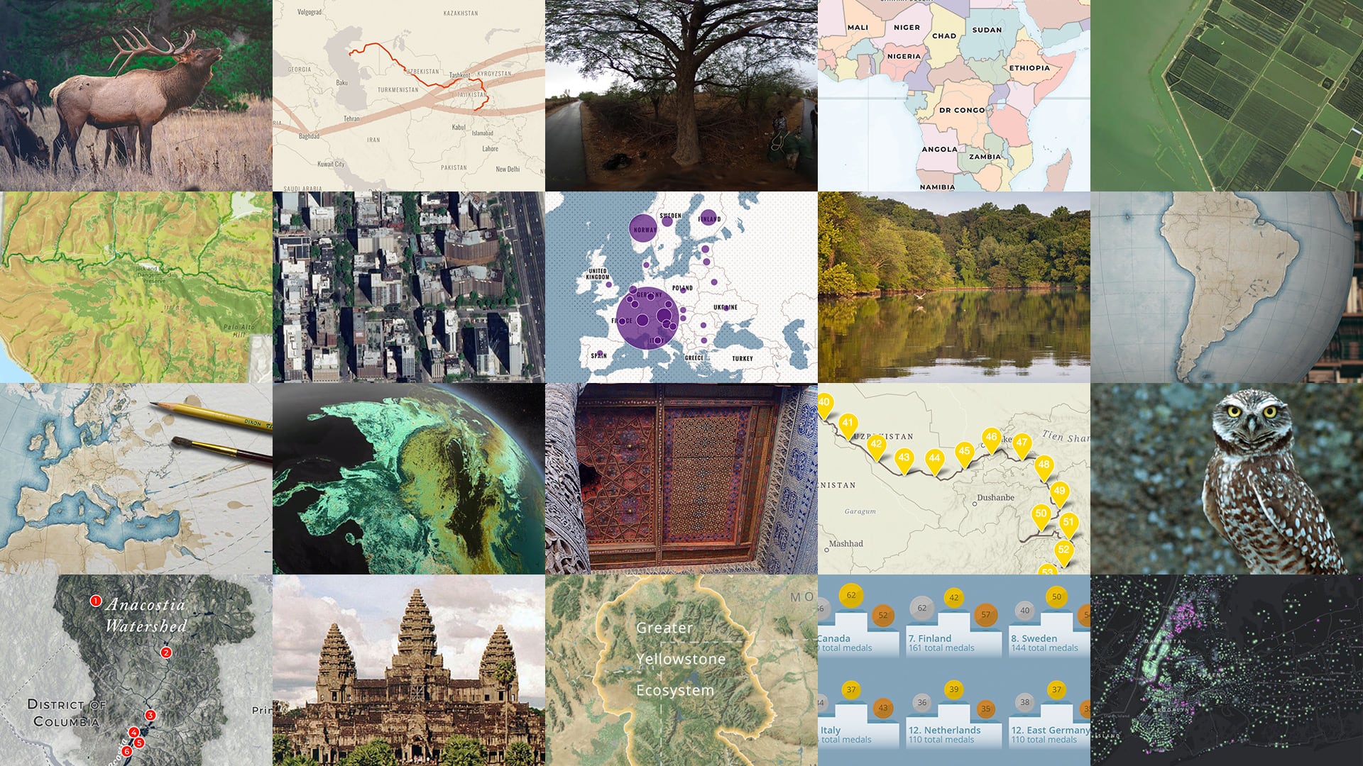 Our favorite story maps from 2018