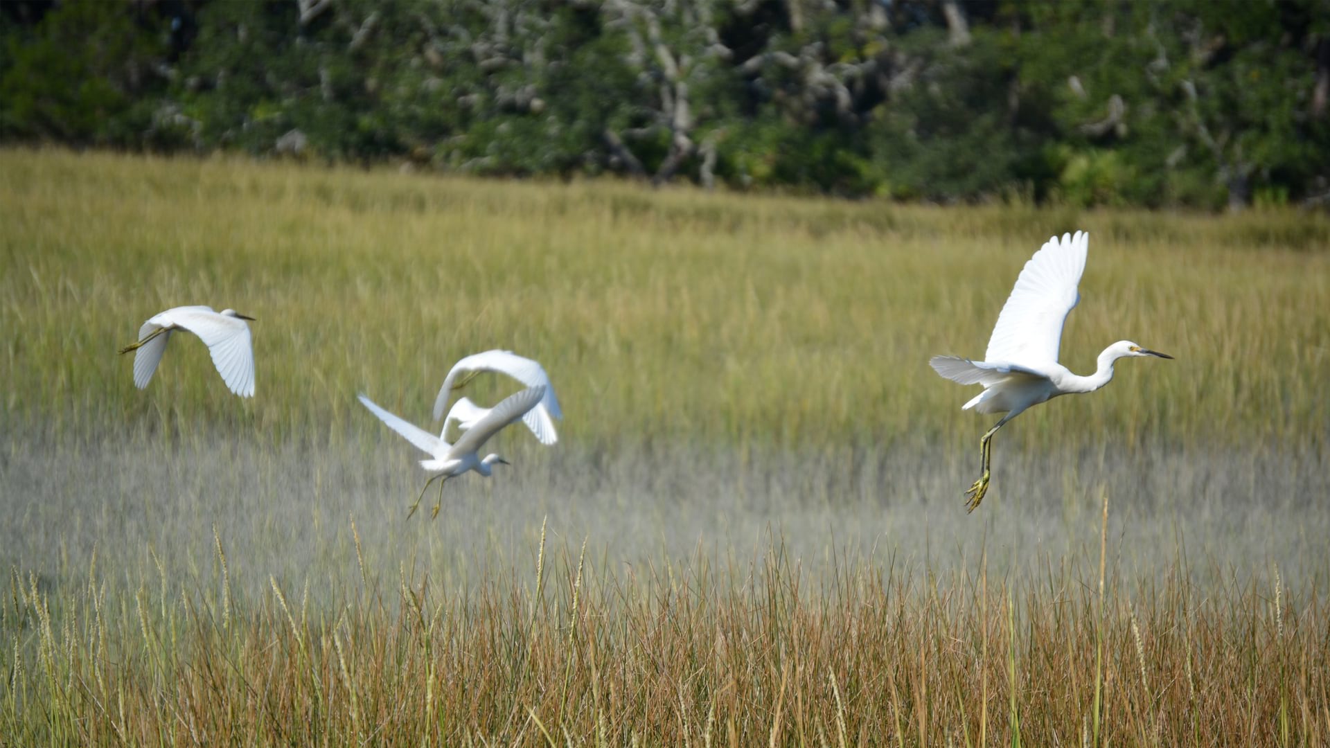USGS Releases New Maps of Protected Areas in the United States