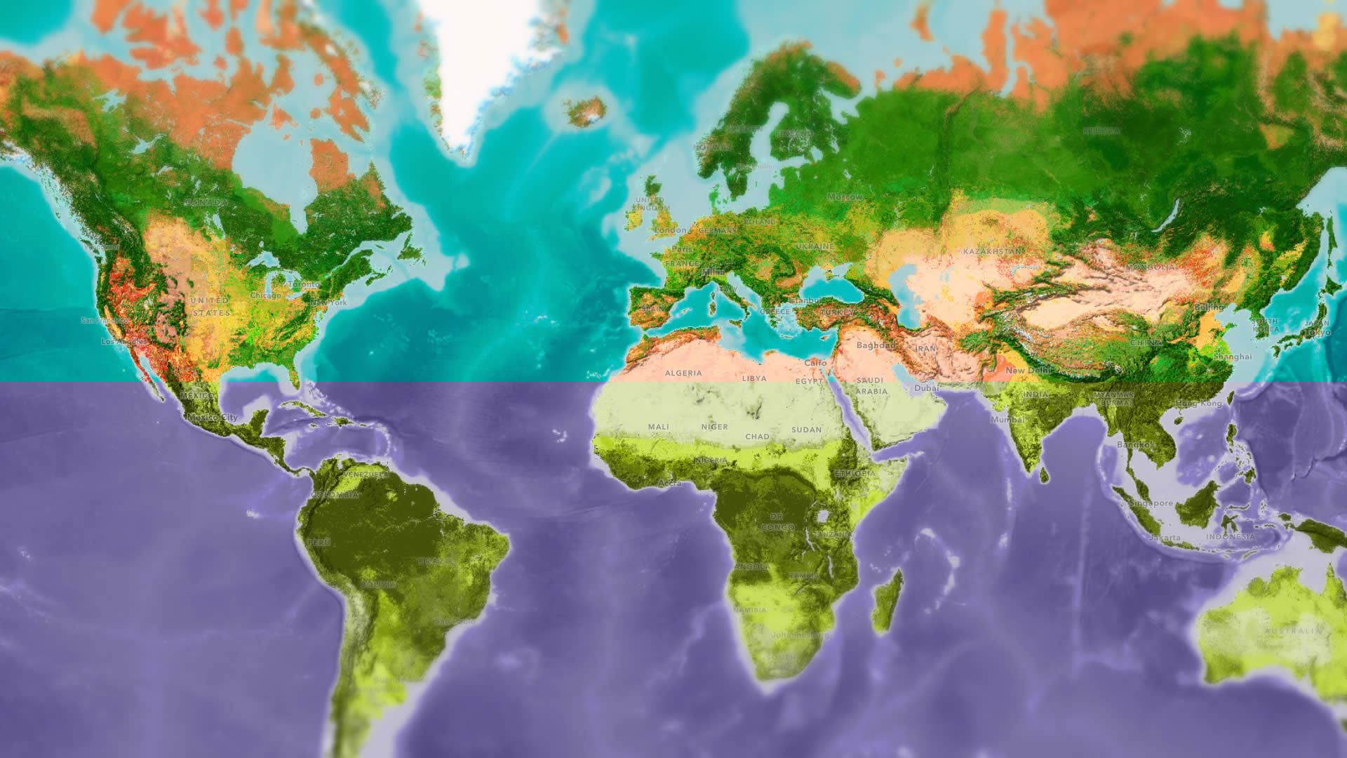 Creating the Half-Earth Vibrant Basemap