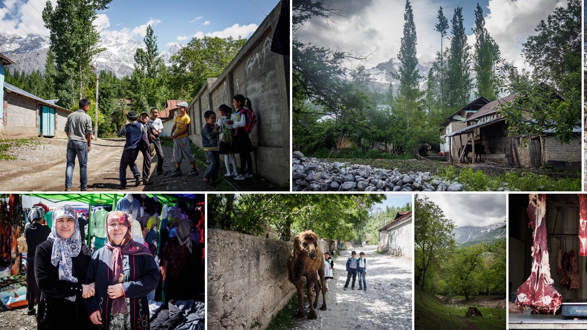 Visual storytelling: Bring your narrative to life with an effective mix ...