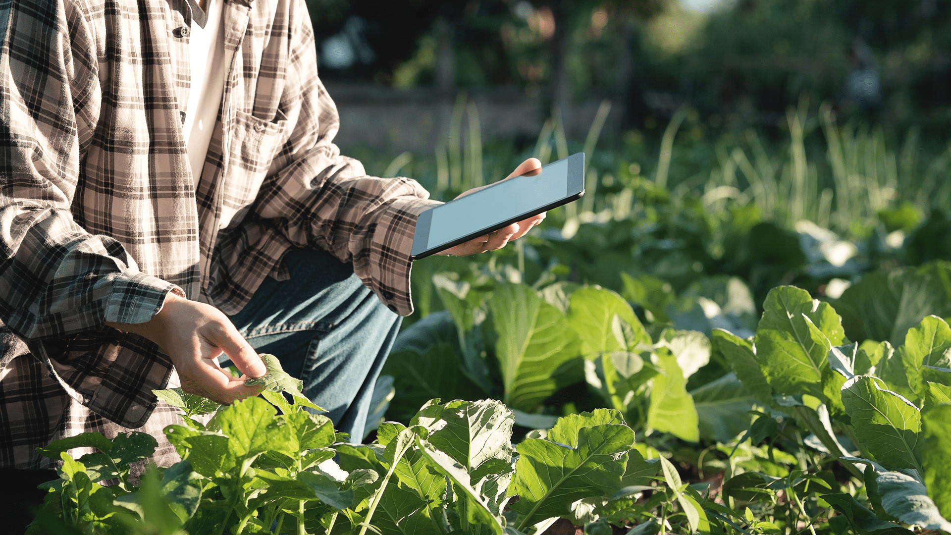 Duplicate maps and forms for use in Field Maps