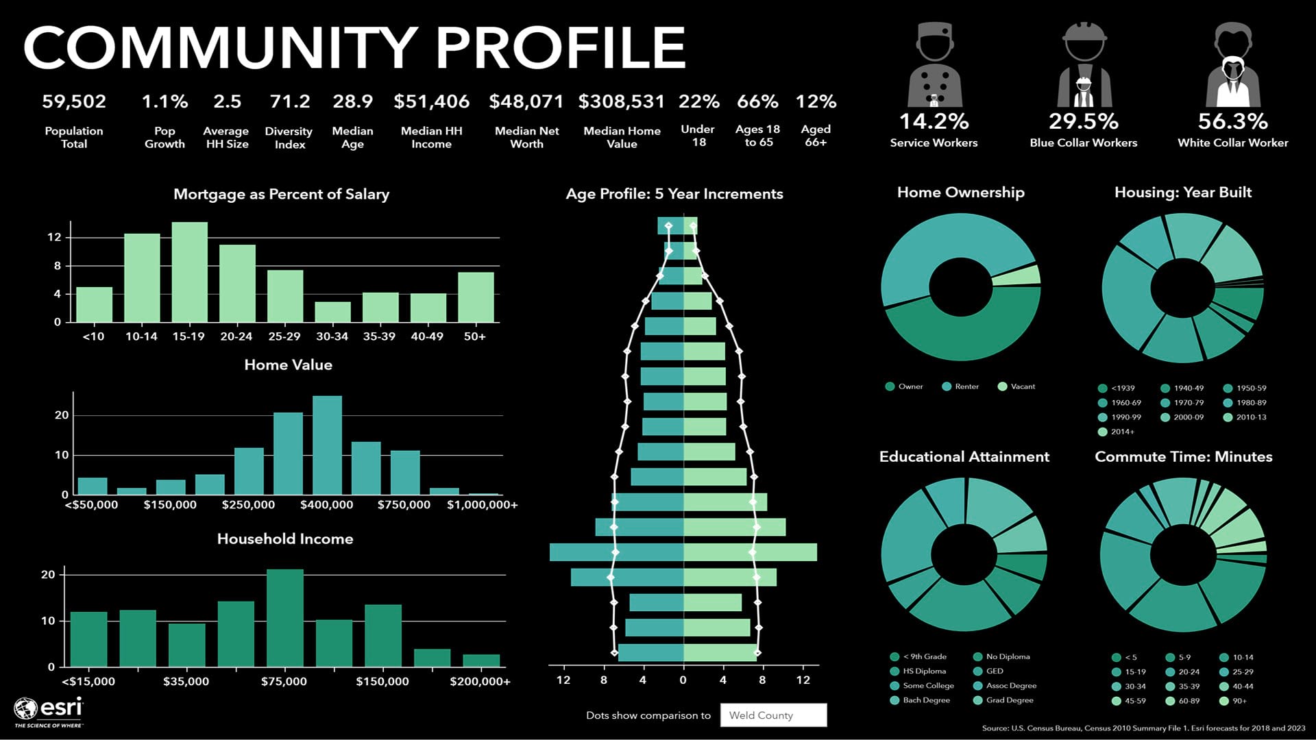 Build a population age pyramid in ArcGIS Business Analyst