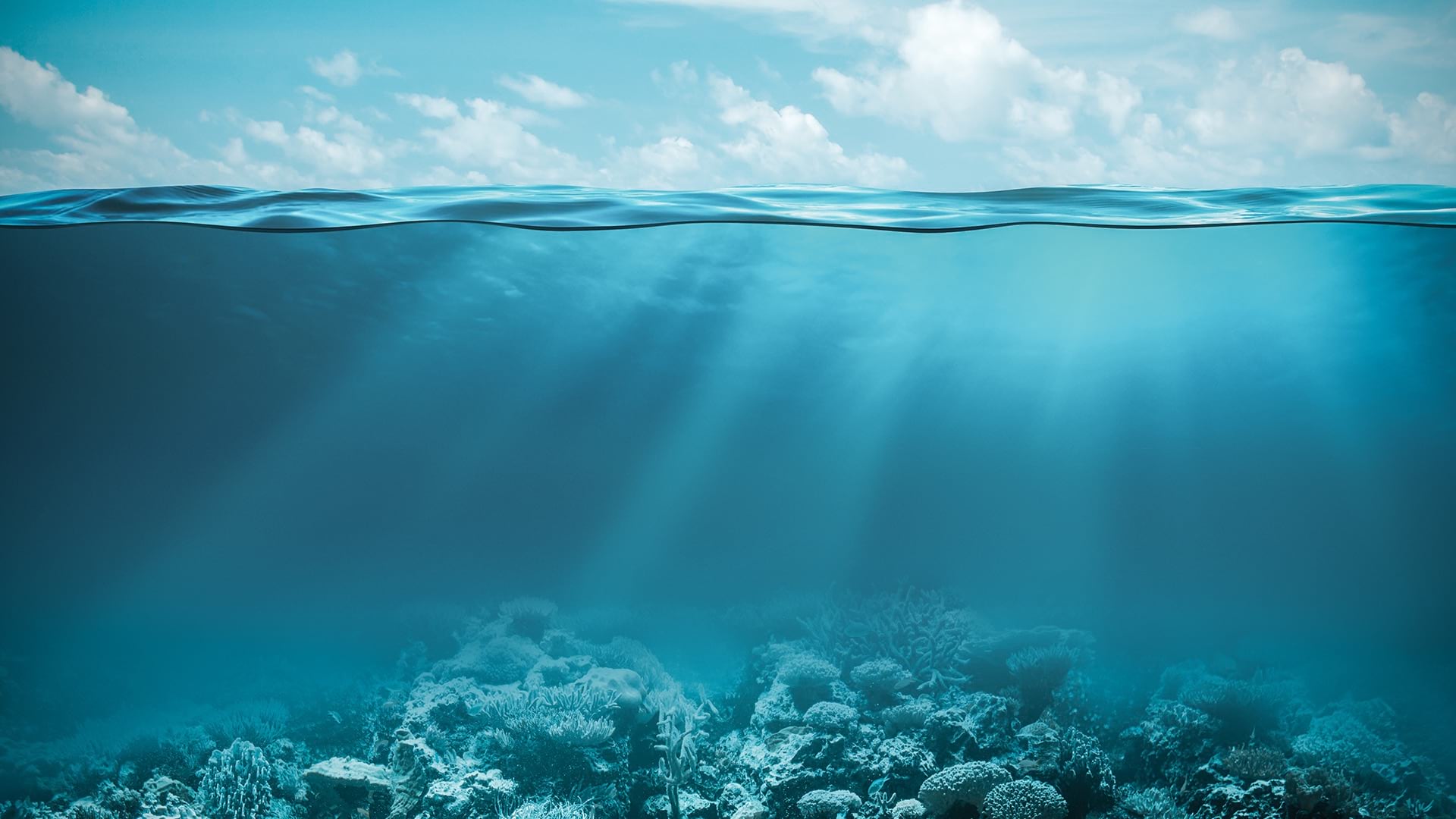 Adding Bathymetry Data in ArcGIS Earth