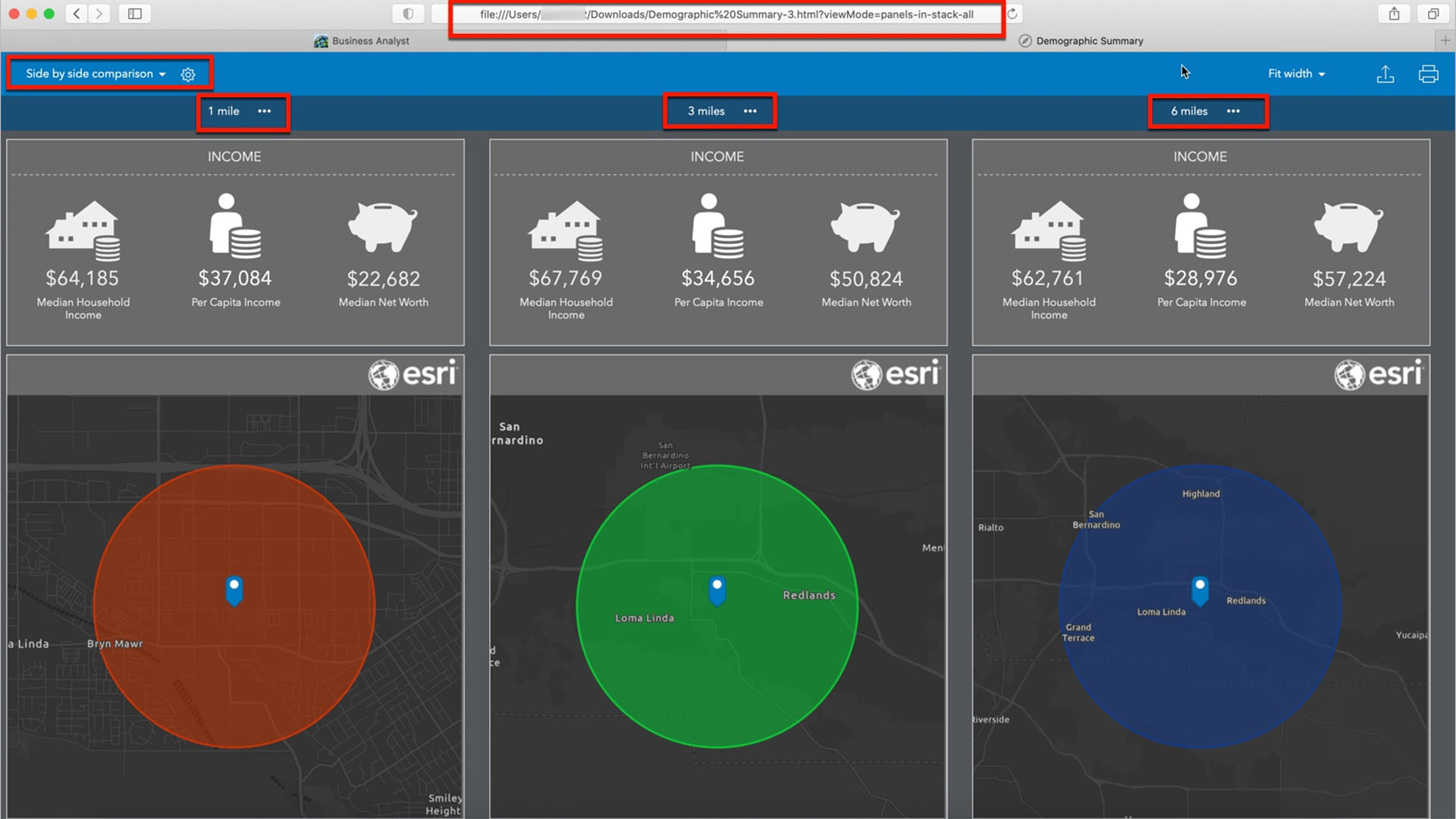 Create dynamic HTML side-by-side infographics in ArcGIS Business Analyst Web App