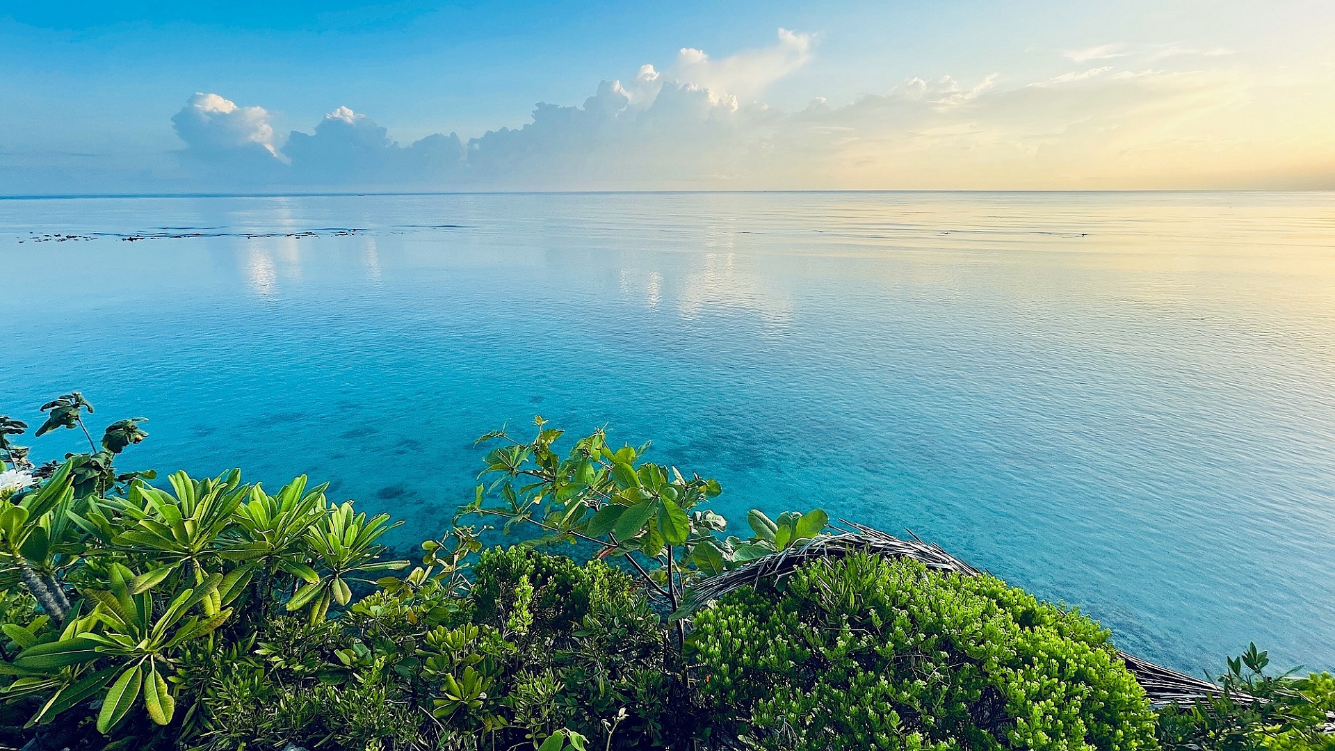 Meet Esri's 2021 Storytellers of the Year