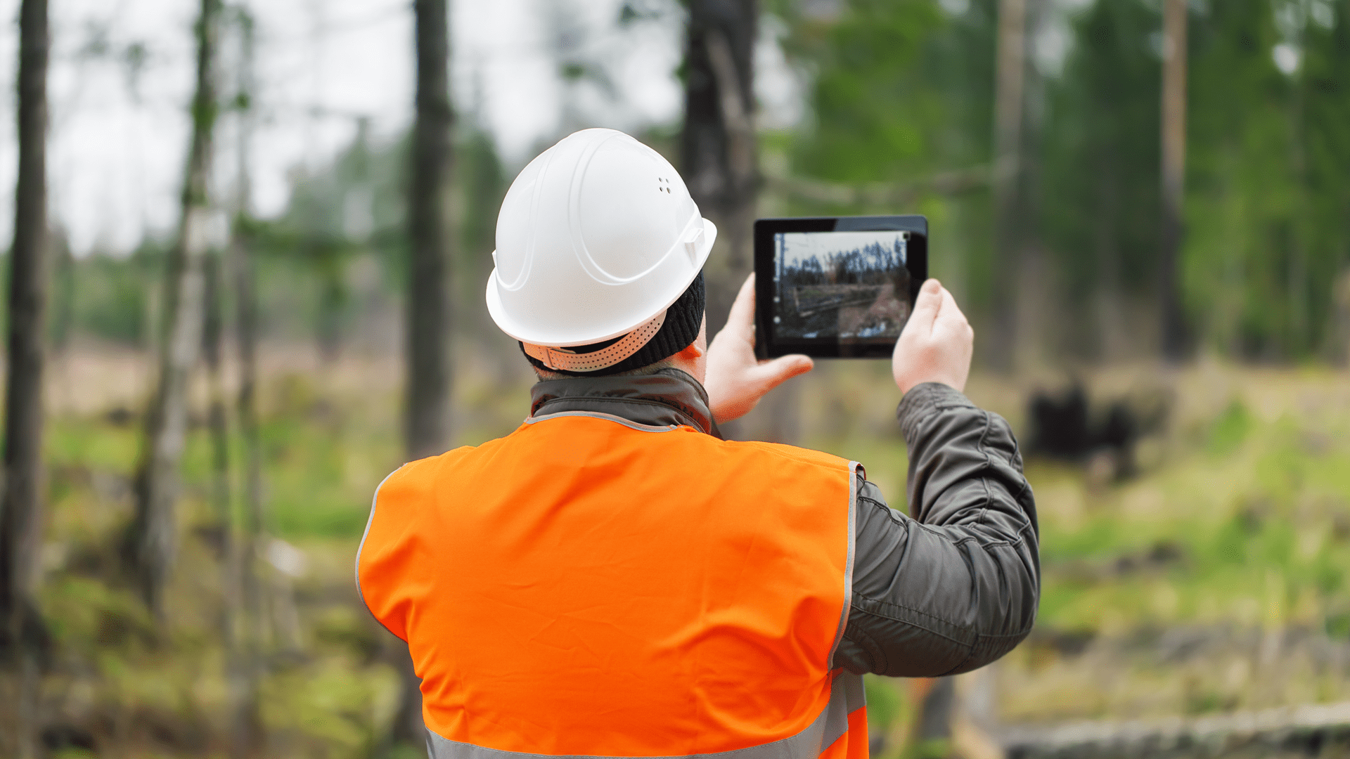 Field Operations sessions at the 2022 Esri Developer Summit Conference