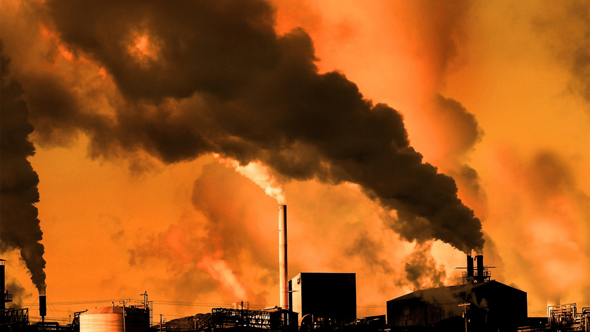 Air Quality Disparities Are Growing Among Ethnic Groups and Income Levels