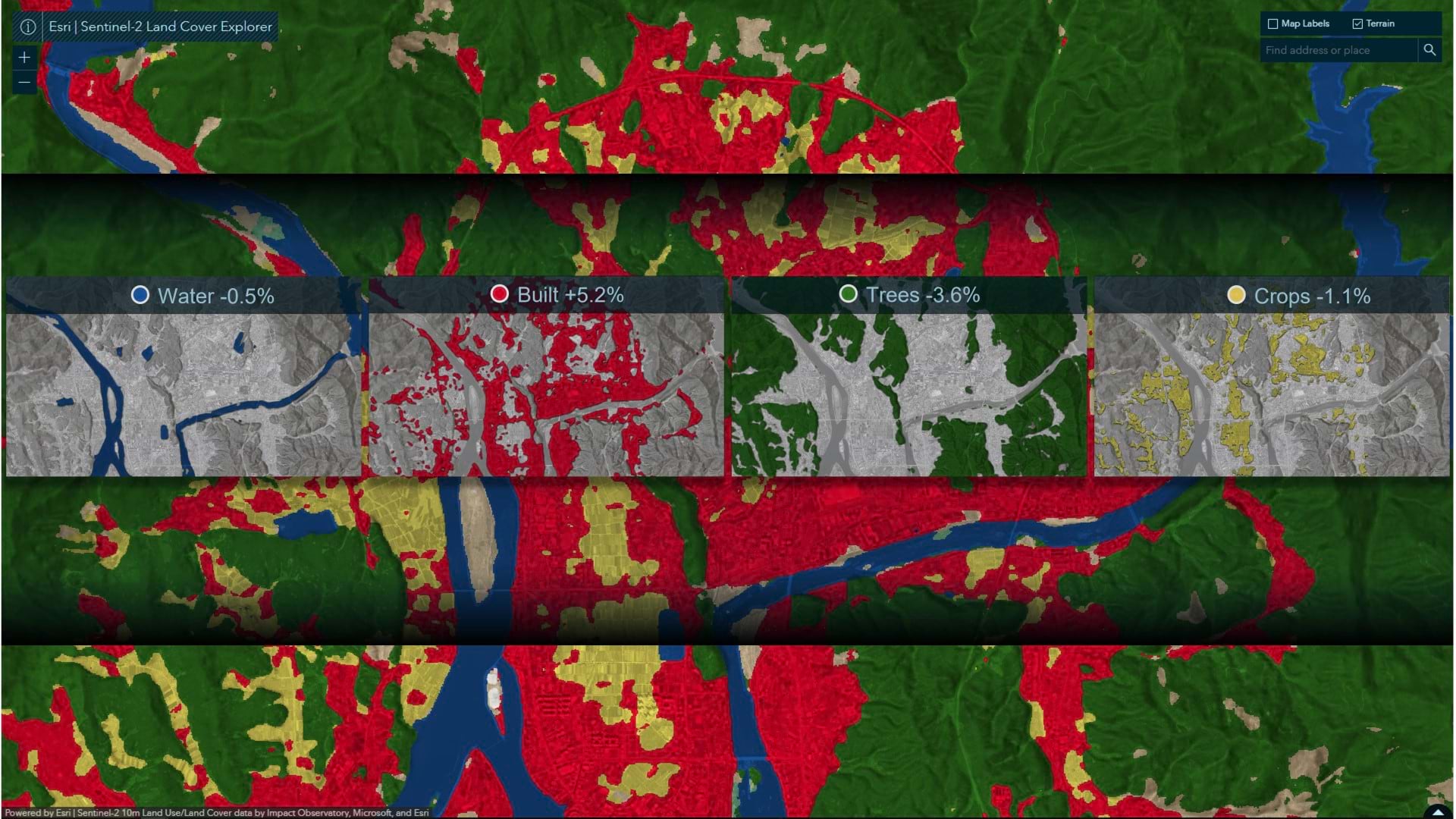 Global Land Cover Revealed