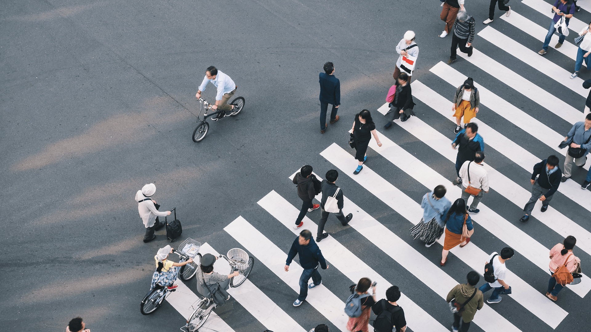 Reuse forms in ArcGIS Field Maps