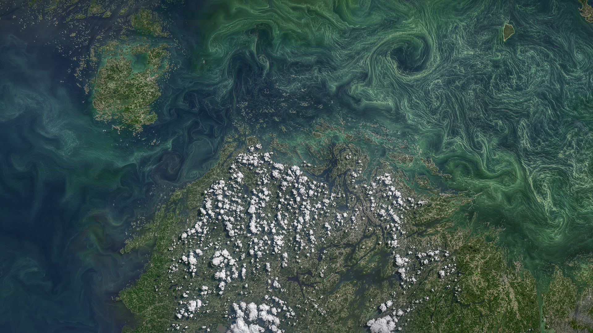 Understanding global water quality trends