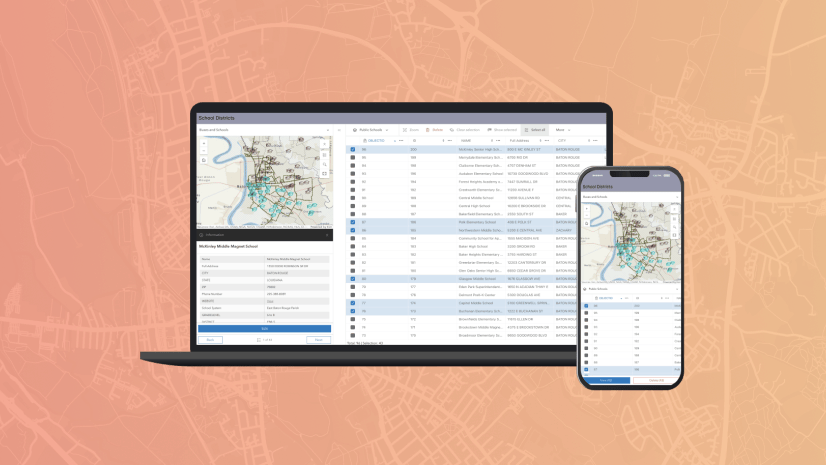 ArcGIS Instant Apps: Introducing Manager ArcGIS Instant Apps: Introducing Manager