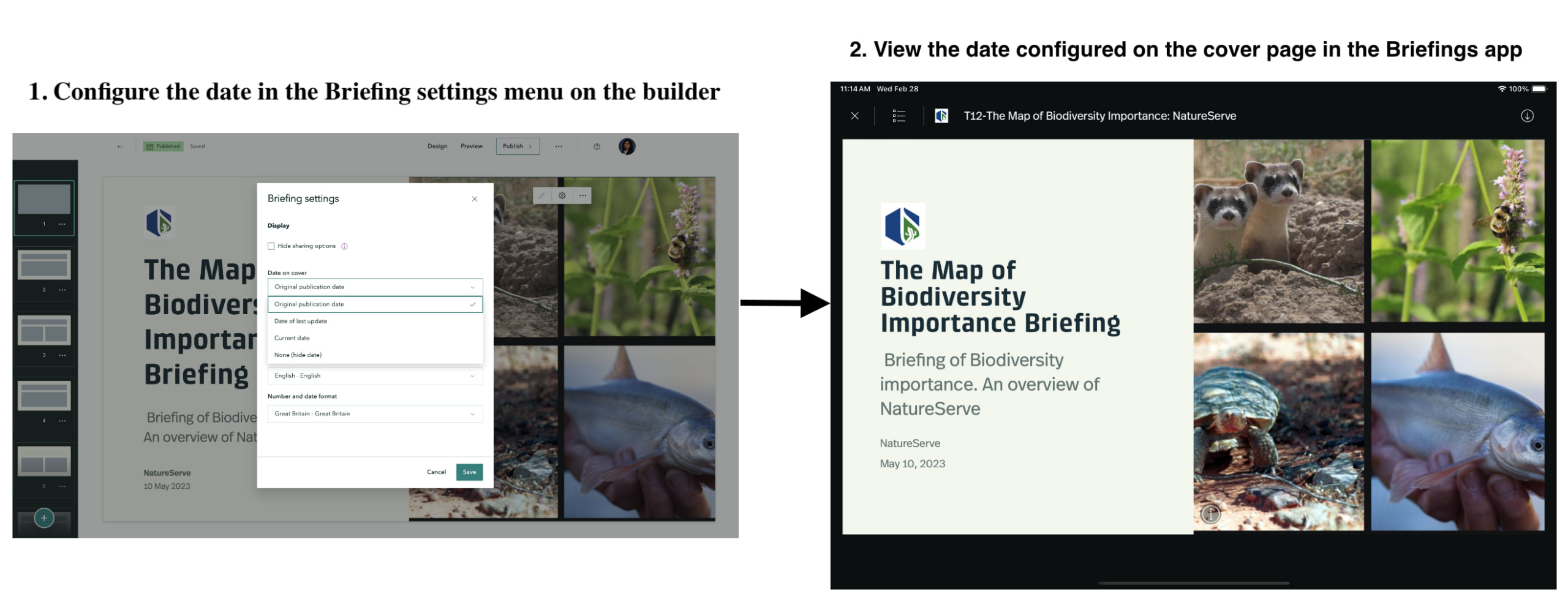What’s New in the ArcGIS StoryMaps Briefings App (February 2024)