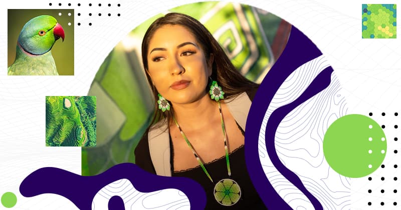 2024 ArcGIS StoryMaps Competition Winners Gallery