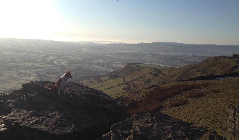 Travel and Recreation | ArcGIS StoryMaps