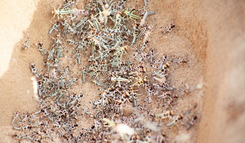 Nature and Environment | ArcGIS StoryMaps