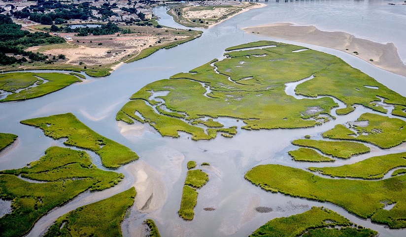 Nature and Environment | ArcGIS StoryMaps