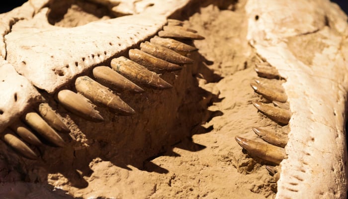 Cartographic creations in ArcGIS Pro