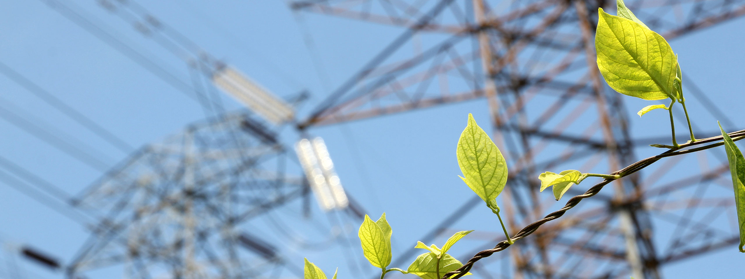 Electric Utility Customer Care | Enhance Customer Experience