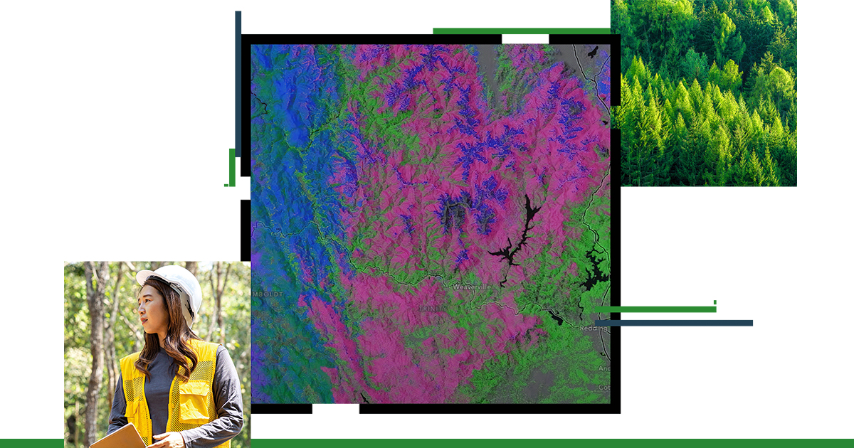 Forest Management | Forest Mapping Using GIS