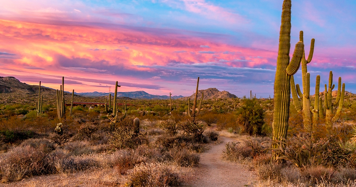 Arizona Public Service Innovates with GIS—Yesterday, Today, and Tomorrow