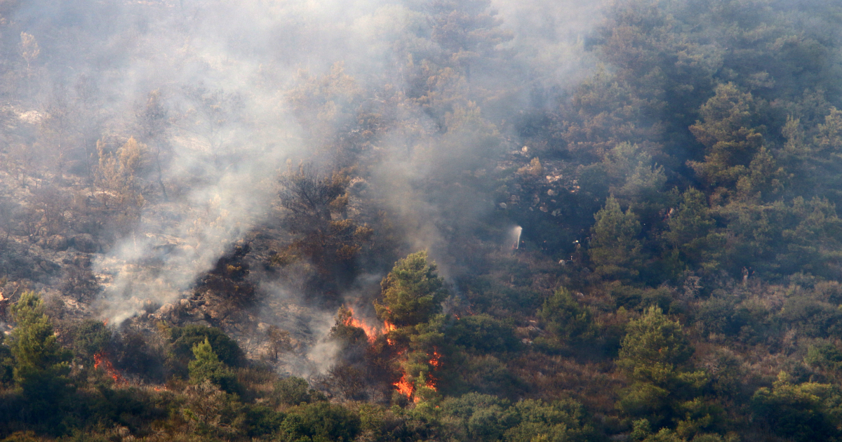 Enhancing forest fire response in Lebanon with GIS technology