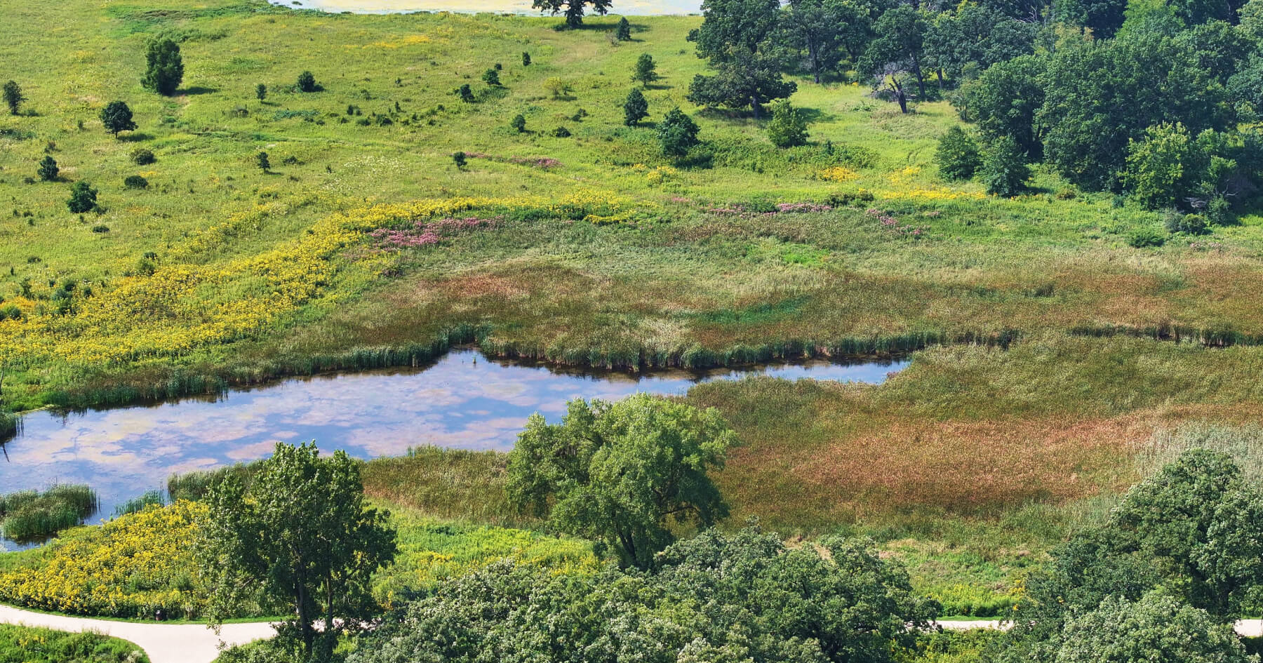 The Lake County Forest Preserve District Scales Land Management ...