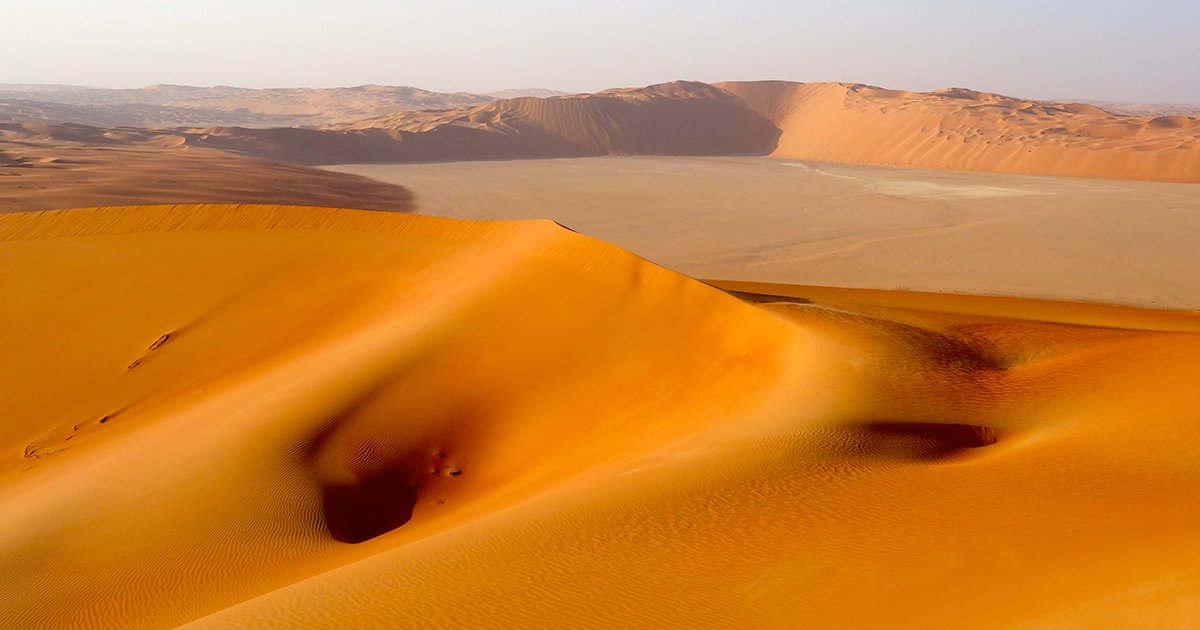 Prioritizing Conservation at Saudi Aramco