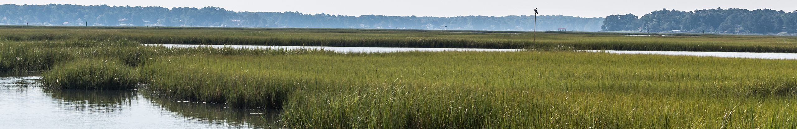 CIC Data Guides Susquehanna River Restoration Efforts