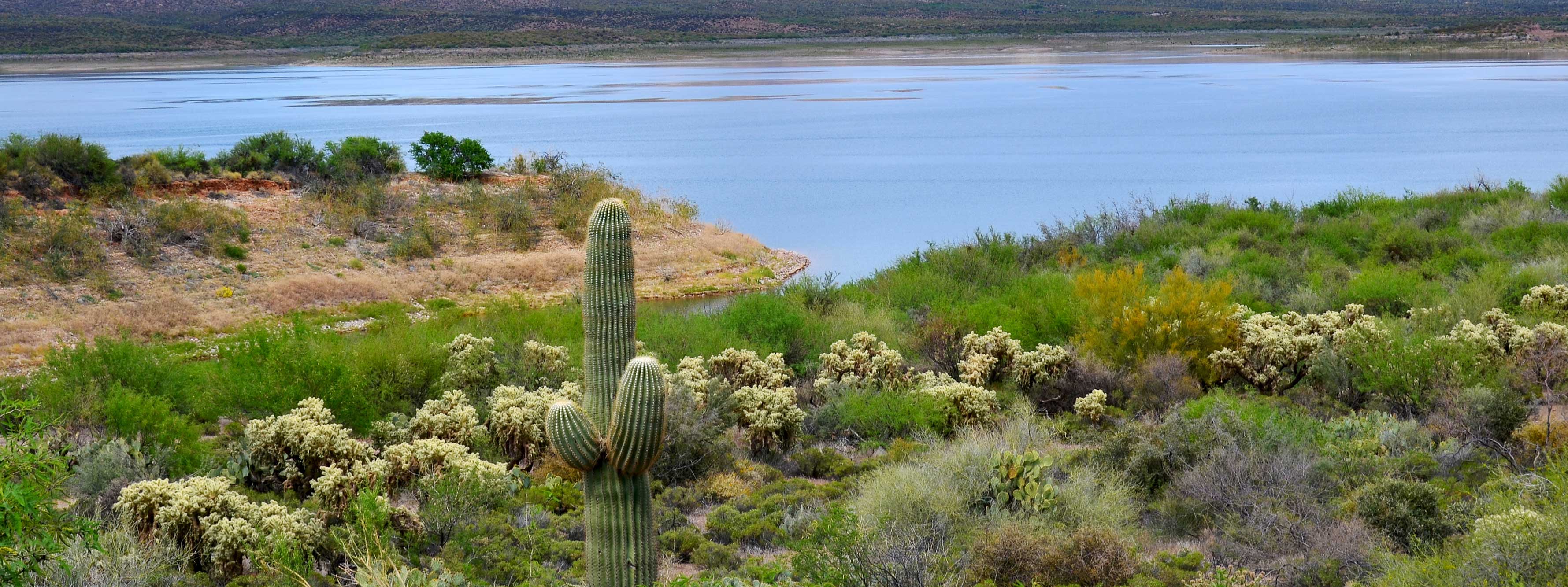 ArcGIS Data Reviewer | Data Quality Management