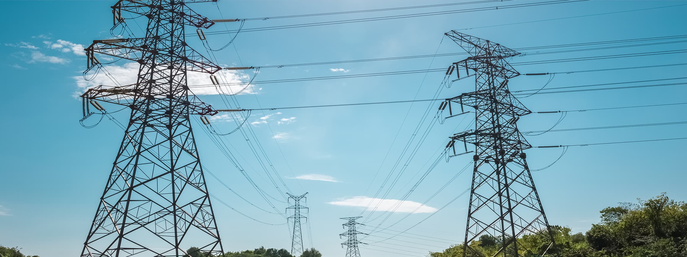Electric and Gas Utility Network Landing Page