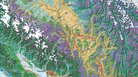 Map Book Gallery | Esri