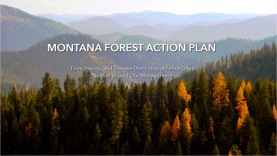 Montana DNRC Hub Builds Collaboration for Forest Plan