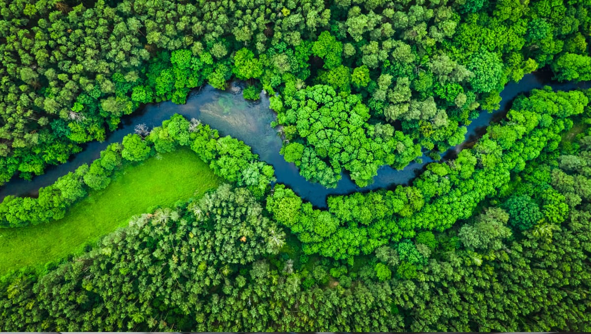 Streamlining Environmental Protection with GIS: Deploying and ...