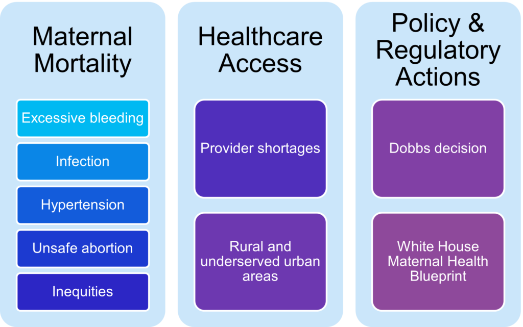 Trends in Health GIS: Elevating Maternal and Child Health Through ...