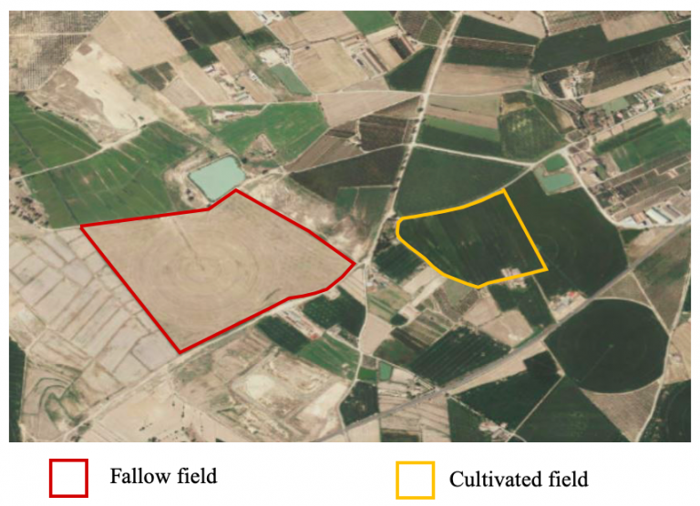 USC Student Wins Discovery Scholar Award Using R-ArcGIS Bridge to Study ...
