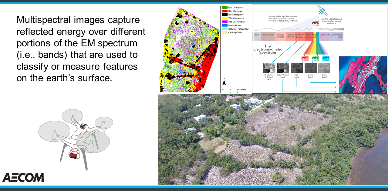 GIS Empowers Environmental Consultants