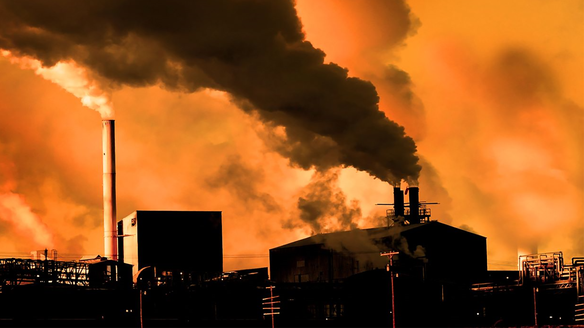 Shifting to a Greener Future in Coal Country