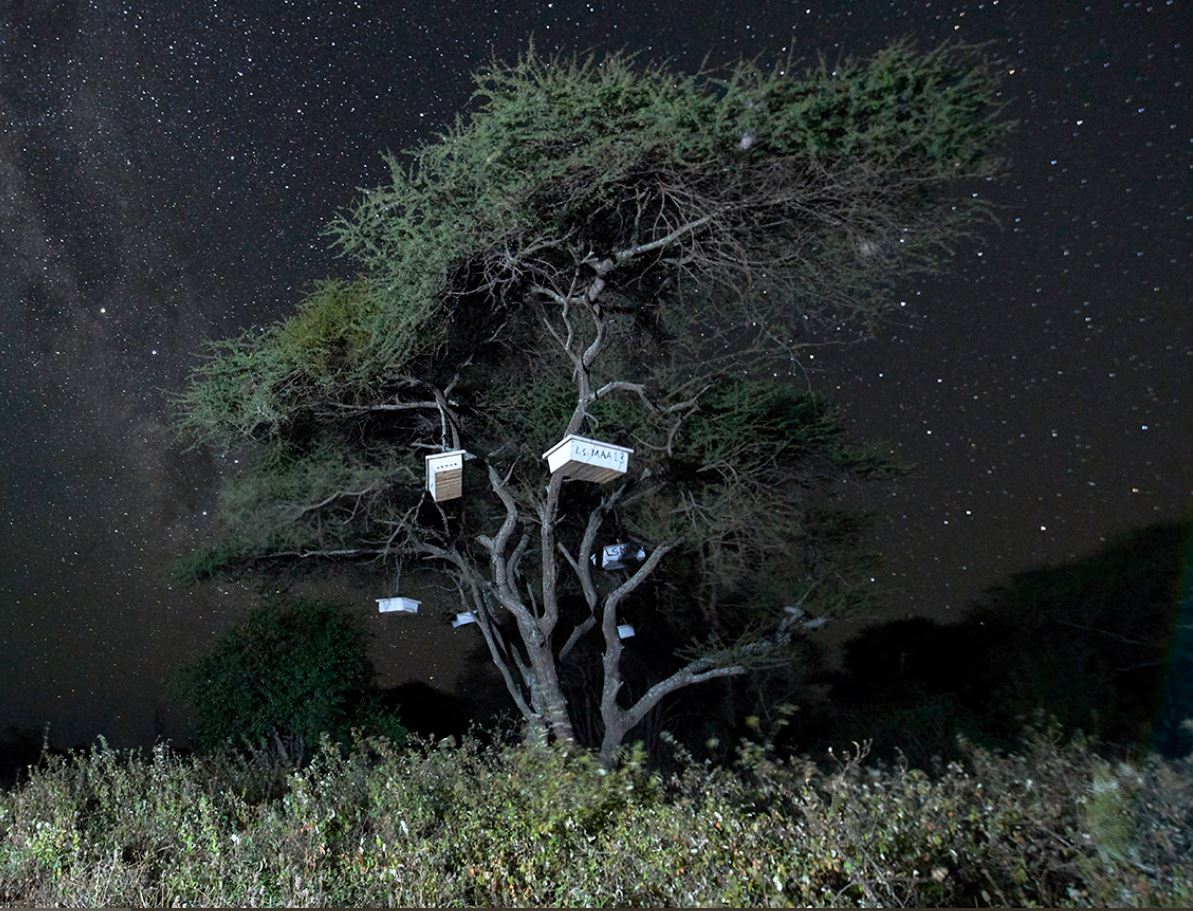 Esri Conservation Summit 2021 Blog Series: African People & Wildlife