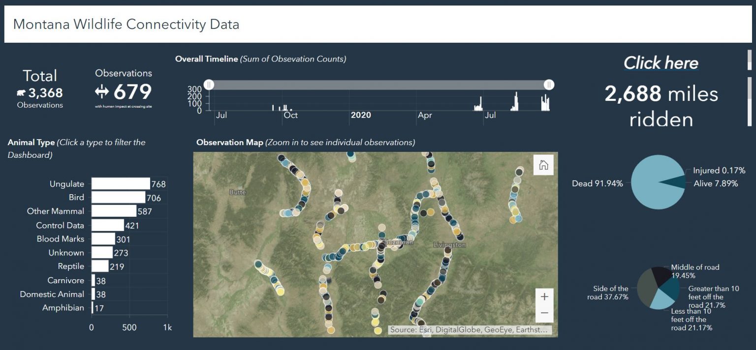 How GIS Can Help Our Wildlife on World Wildlife Day