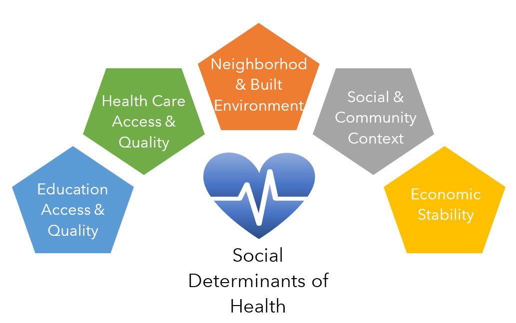 Pearls of Wisdom: Experts Discuss Health Equity and Leading Through ...