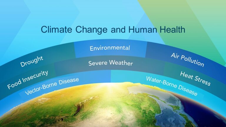 Pearls of Wisdom: Experts Discuss Health Equity and Leading Through ...