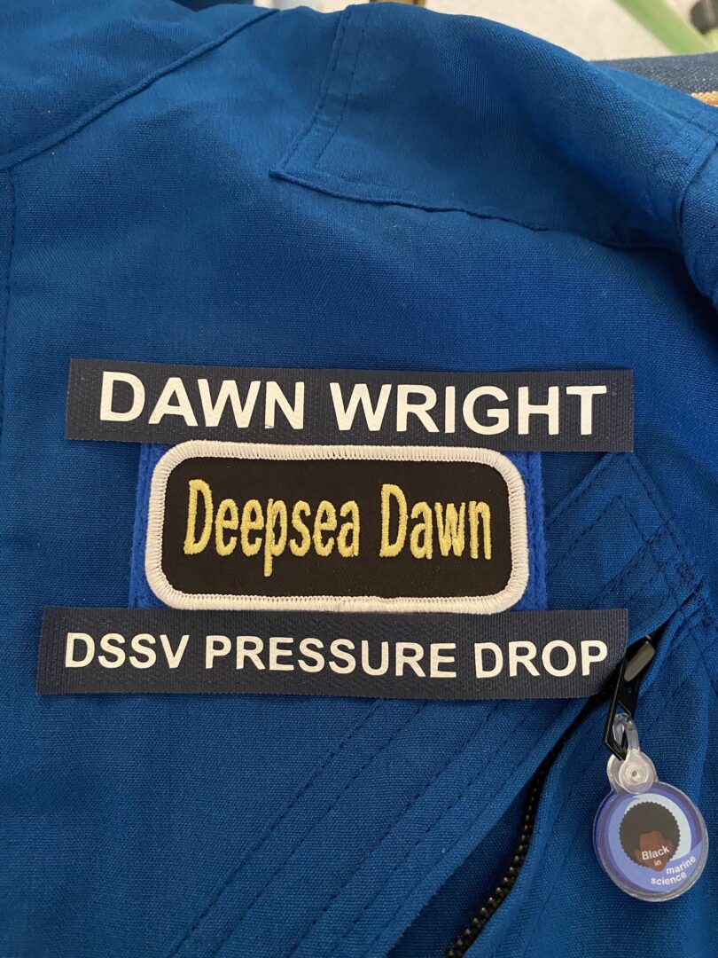 Mission Accomplished: Photos from Dawn's Challenger Deep Expedition ...