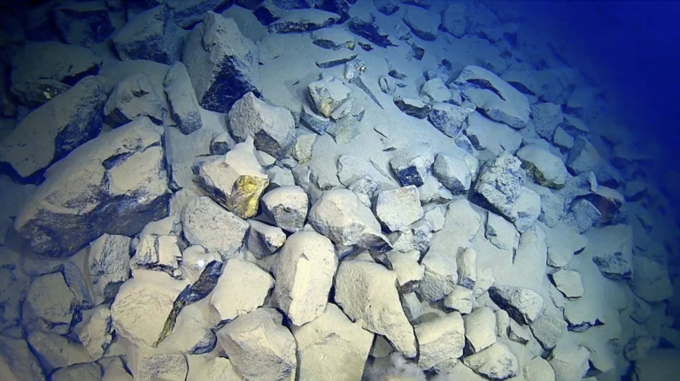 Mission Accomplished: Photos from Dawn's Challenger Deep Expedition