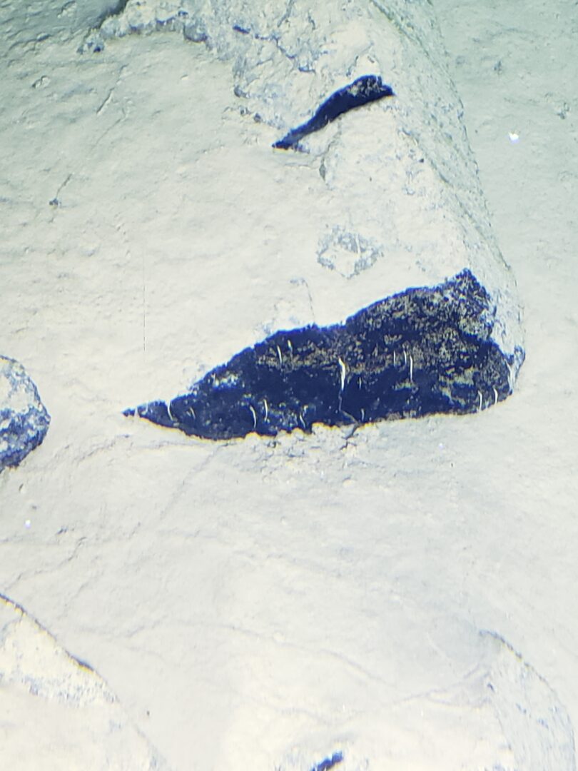 Mission Accomplished: Photos from Dawn's Challenger Deep Expedition