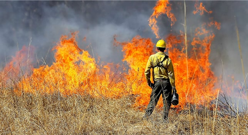 A Holistic Approach to Managing Wildland Fire Risk with ArcGIS