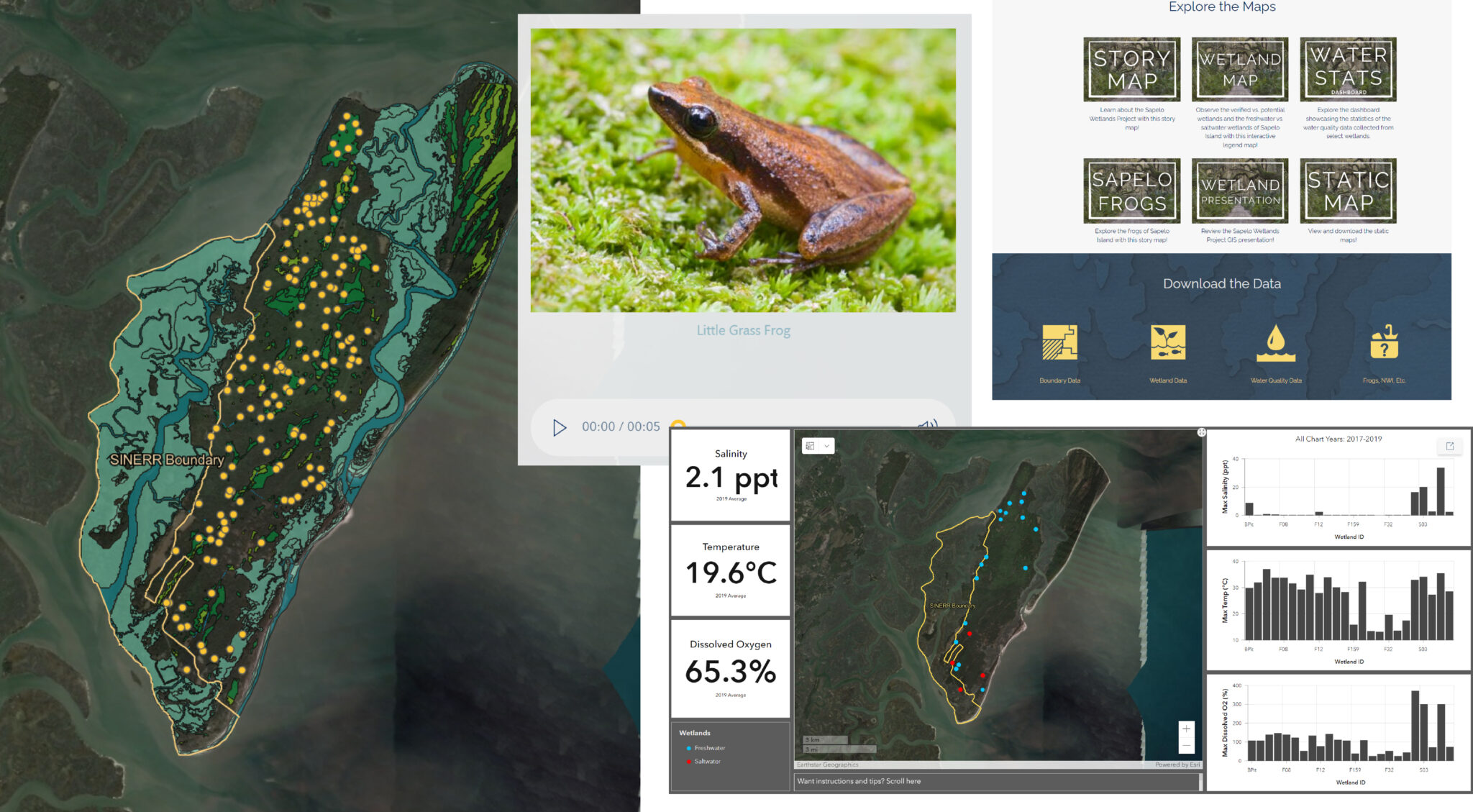 Delineating the Future of Wetlands: How States and Local Governments ...