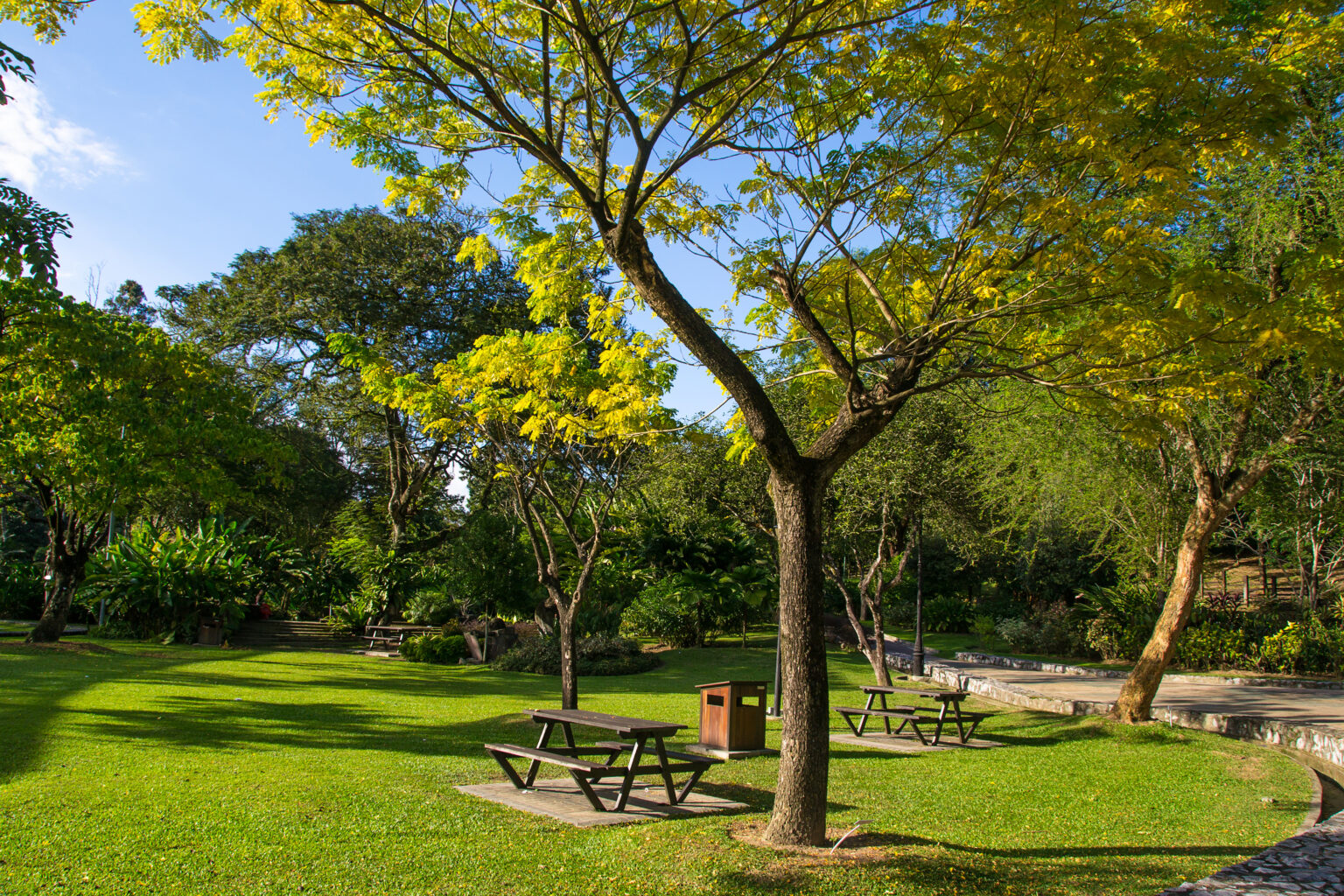 Smarter Parks Operations with ArcGIS and OpenGov Asset Management ...